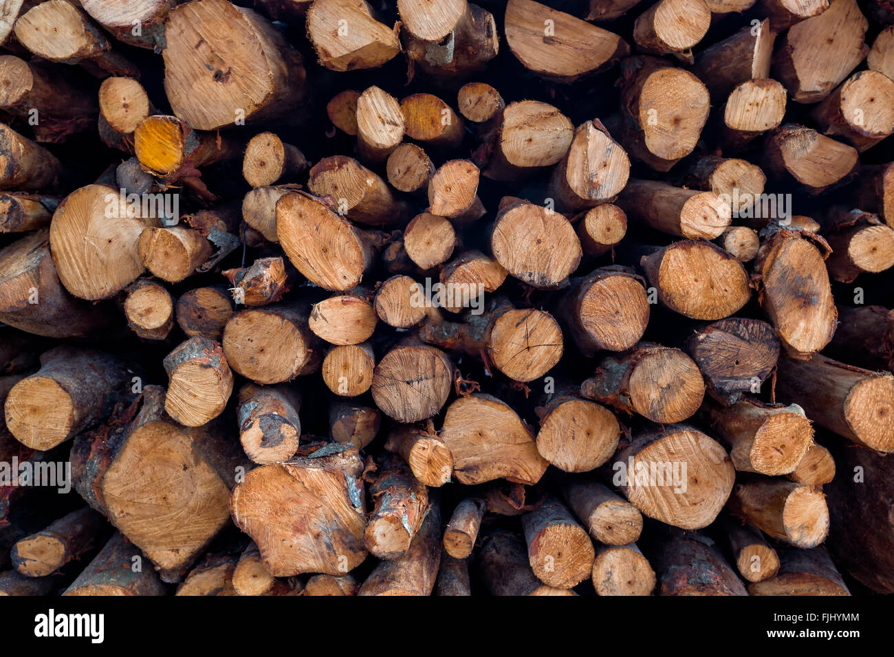 Wood pile texture hi-res stock photography and images - Alamy
