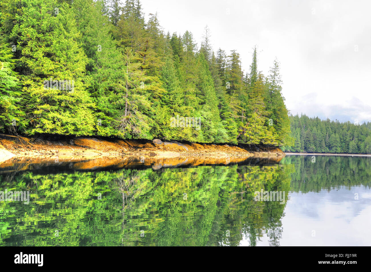 The Great Bear Rainforest, British Columbia Stock Photo - Alamy
