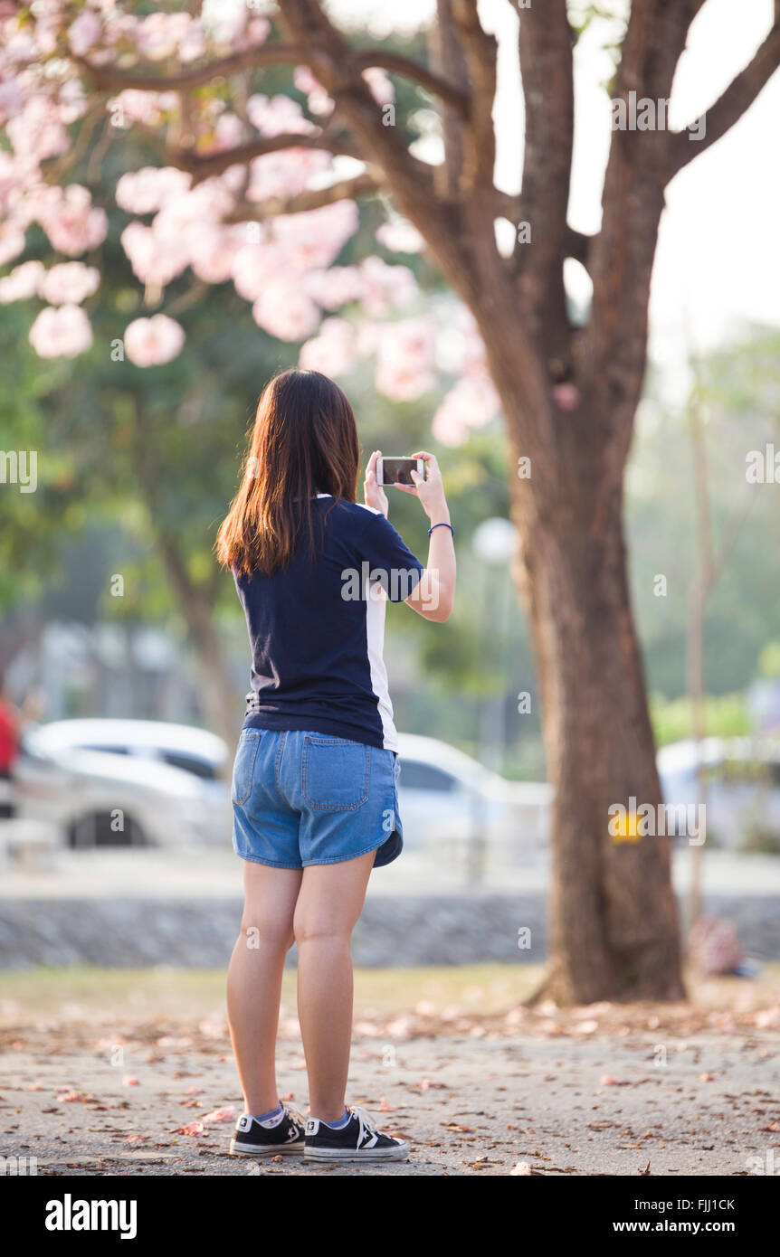 Photo cherry blossom season hi-res stock photography and images - Alamy