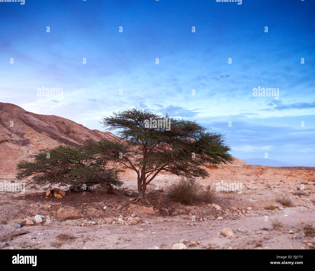 Road to emmaus israel hi-res stock photography and images - Alamy