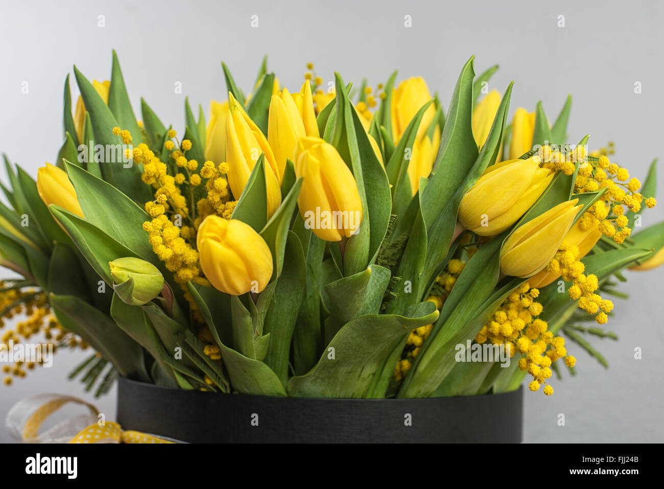 Bright spring bouquet of tulips and mimosa flowers. Mother's Day or ...