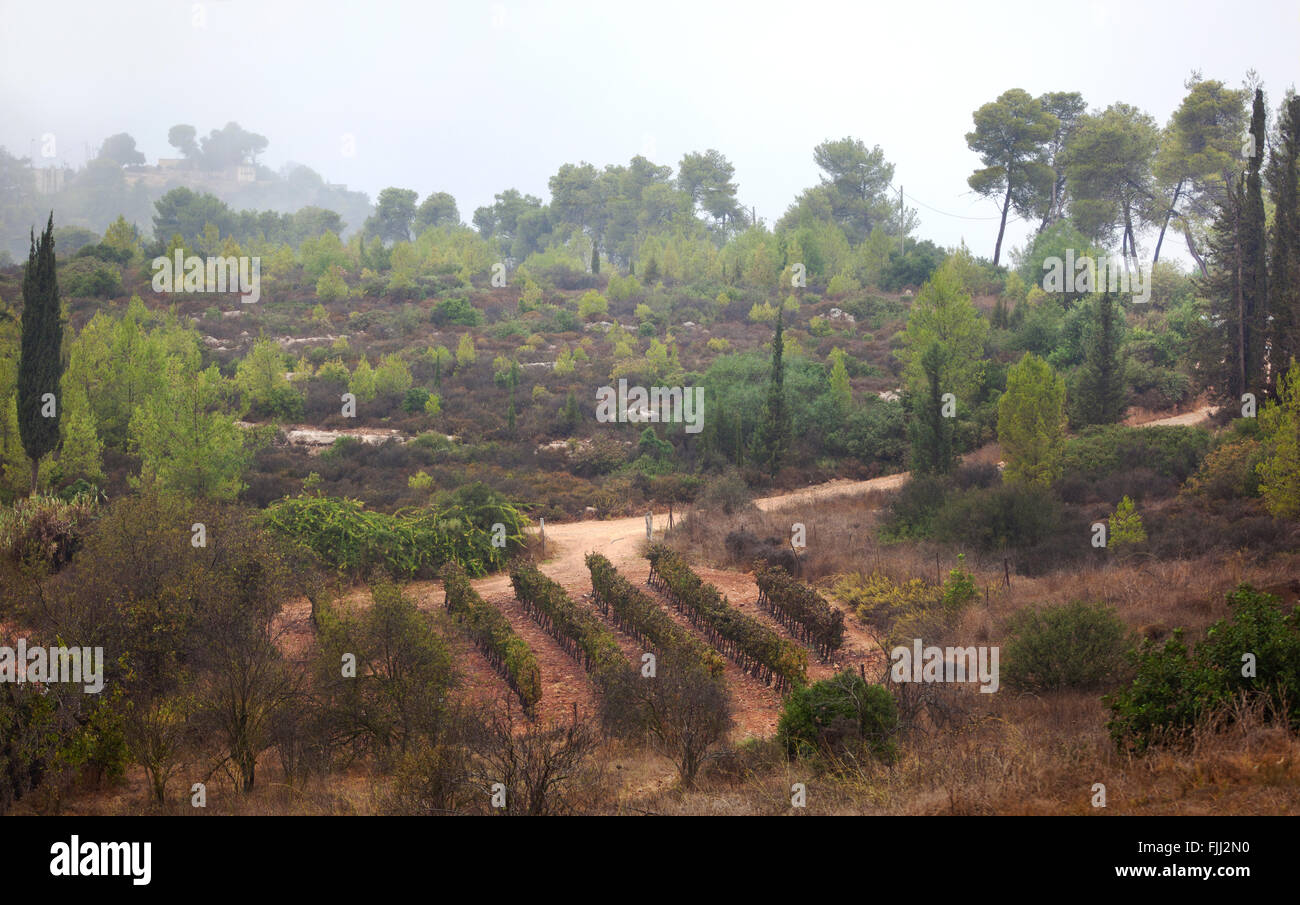 Road to emmaus israel hi-res stock photography and images - Alamy