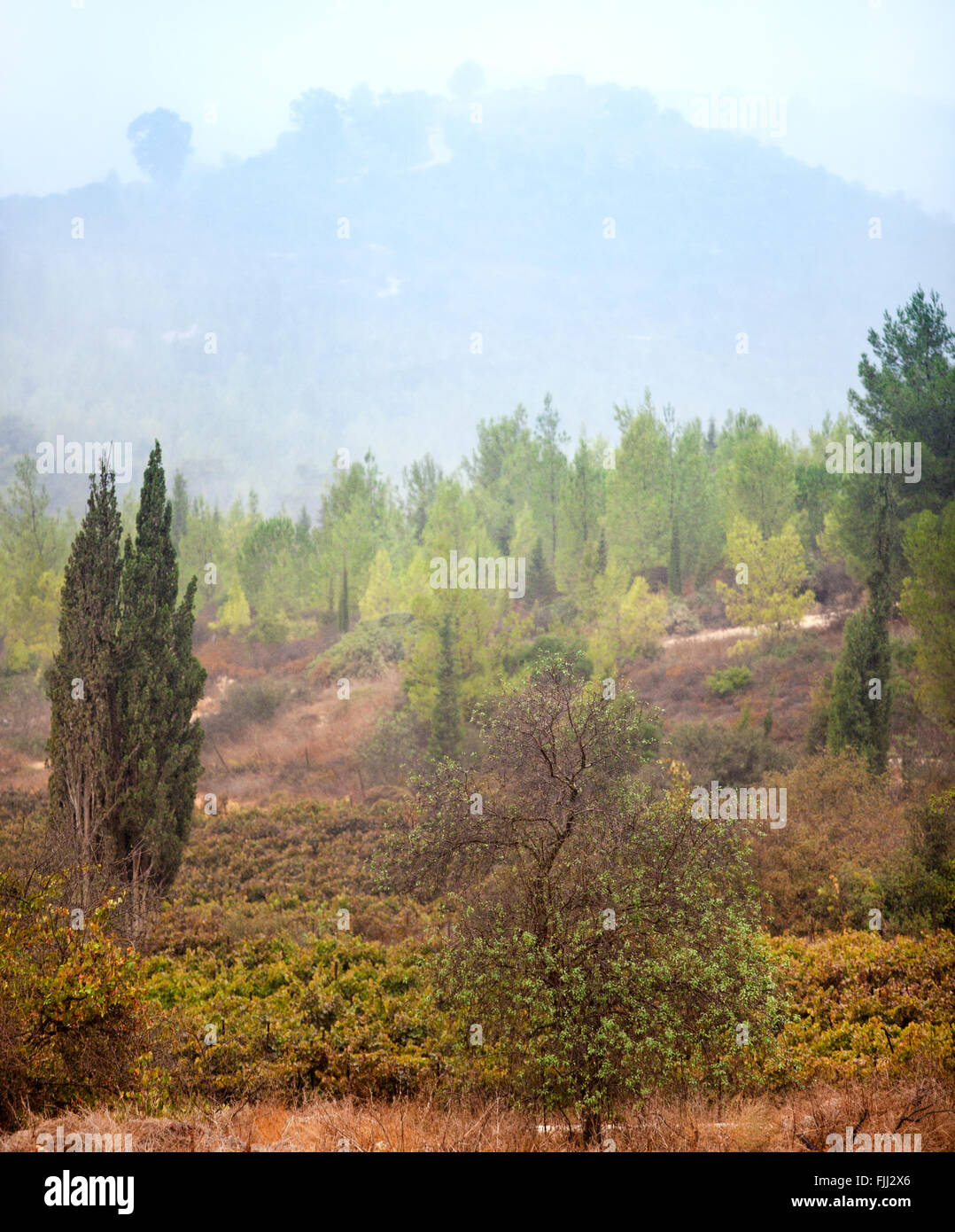 Road to emmaus israel hi-res stock photography and images - Alamy