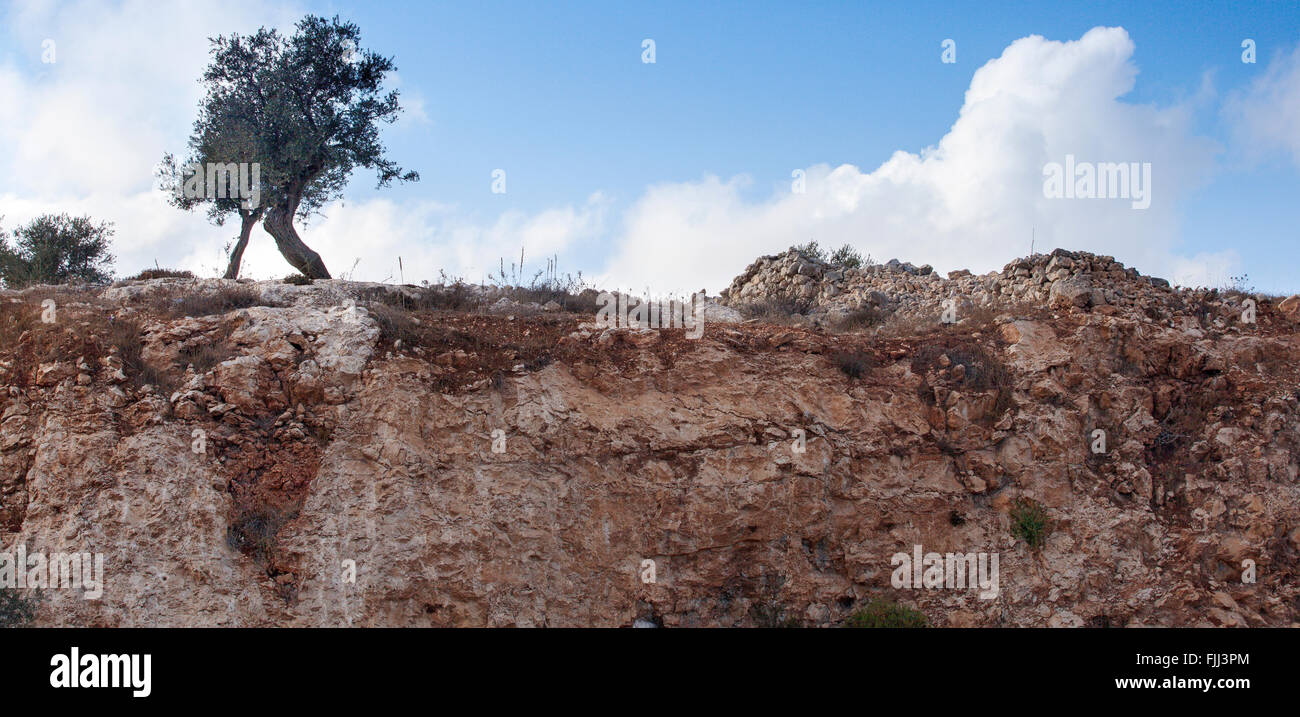 Road to emmaus israel hi-res stock photography and images - Alamy
