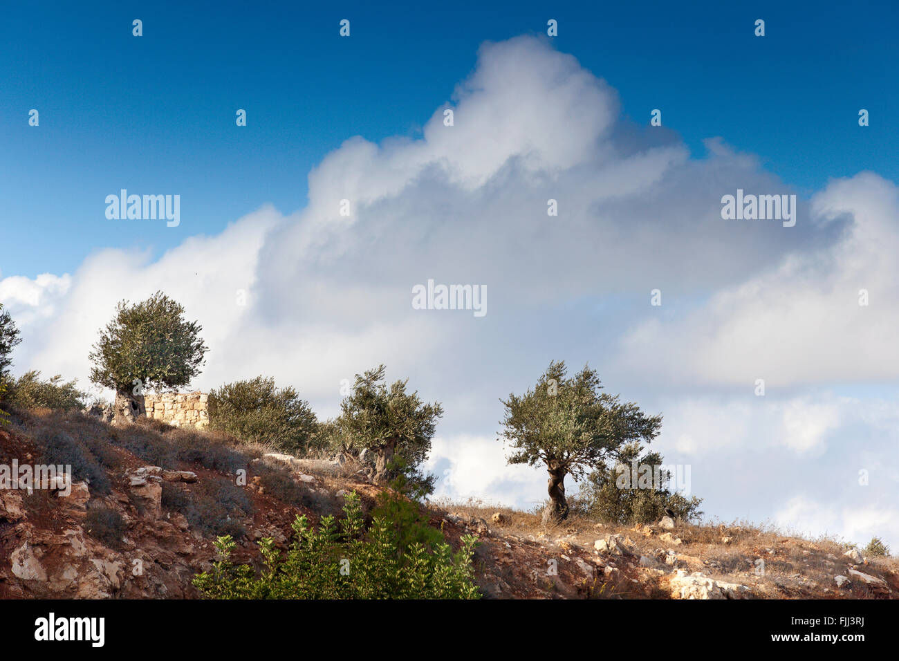 Life in ancient israel hi-res stock photography and images - Alamy