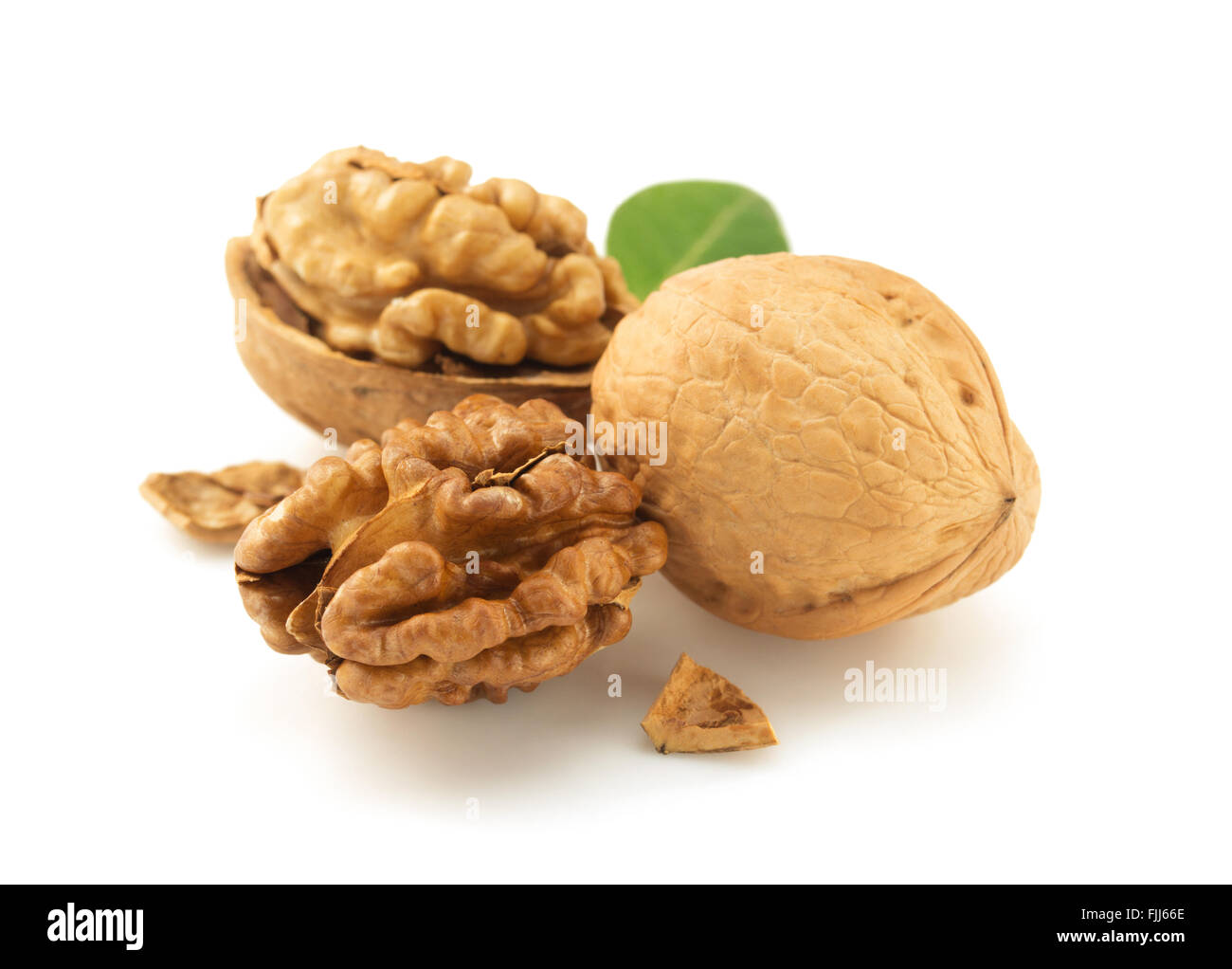 Walnuts on tree Cut Out Stock Images & Pictures - Alamy
