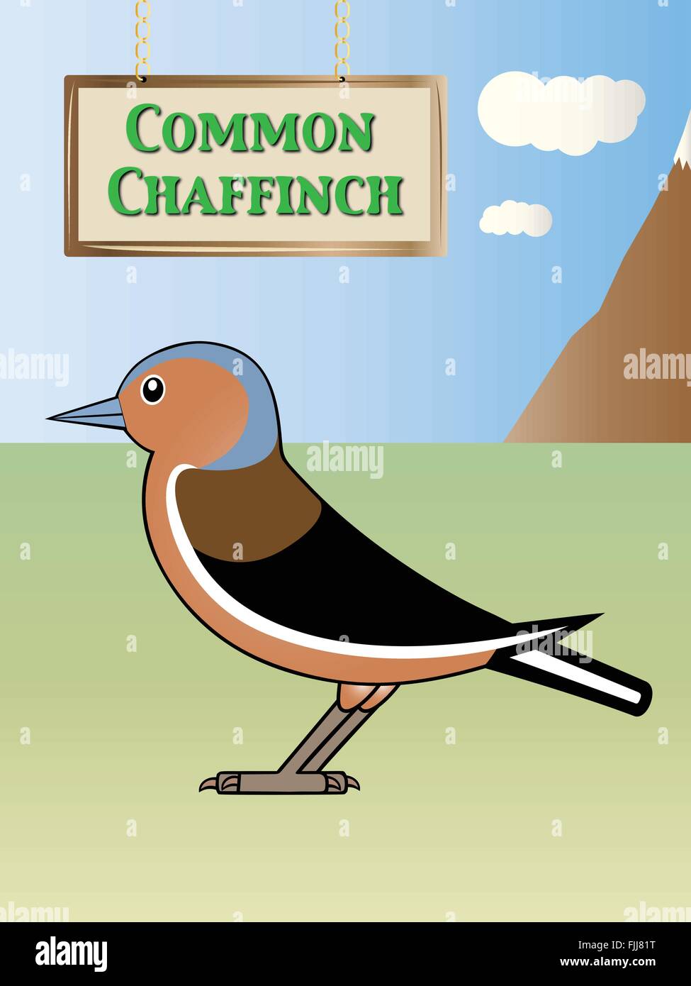 Eurasian chaffinch vector illustration on natural background Stock ...