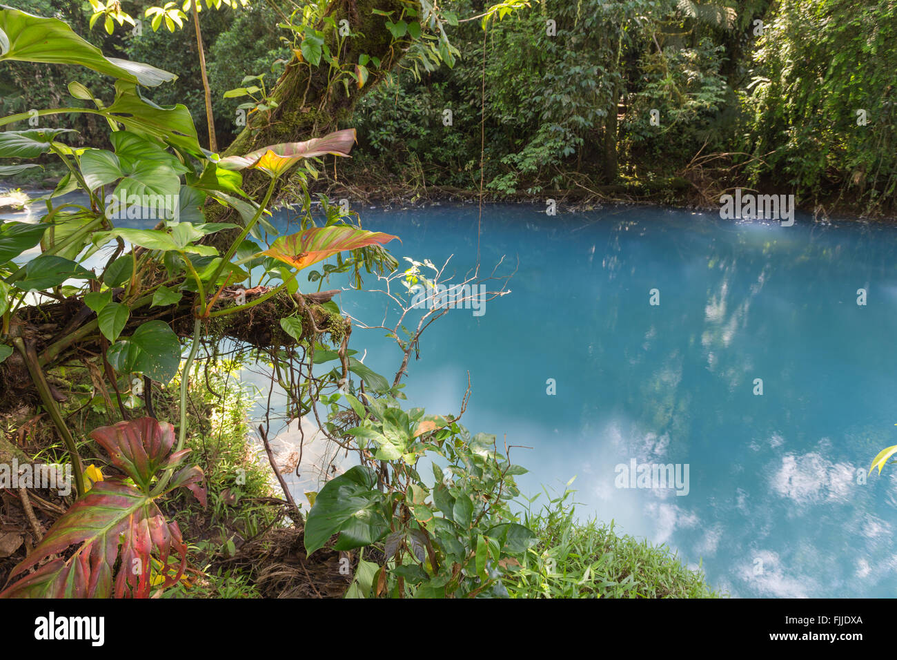 Amazing blue Celeste river landscape Stock Photo - Alamy