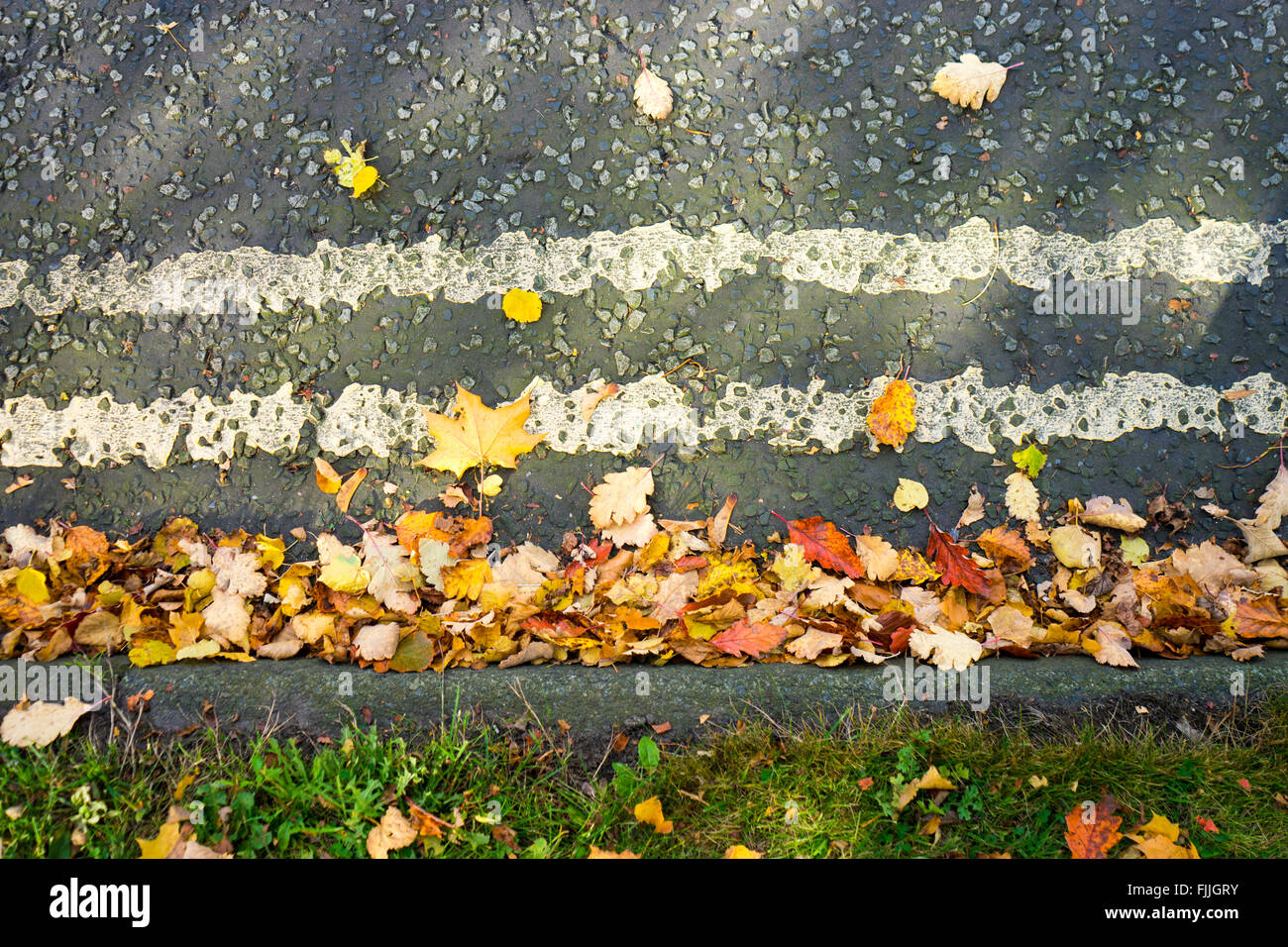 Lines of leaves hi-res stock photography and images - Alamy