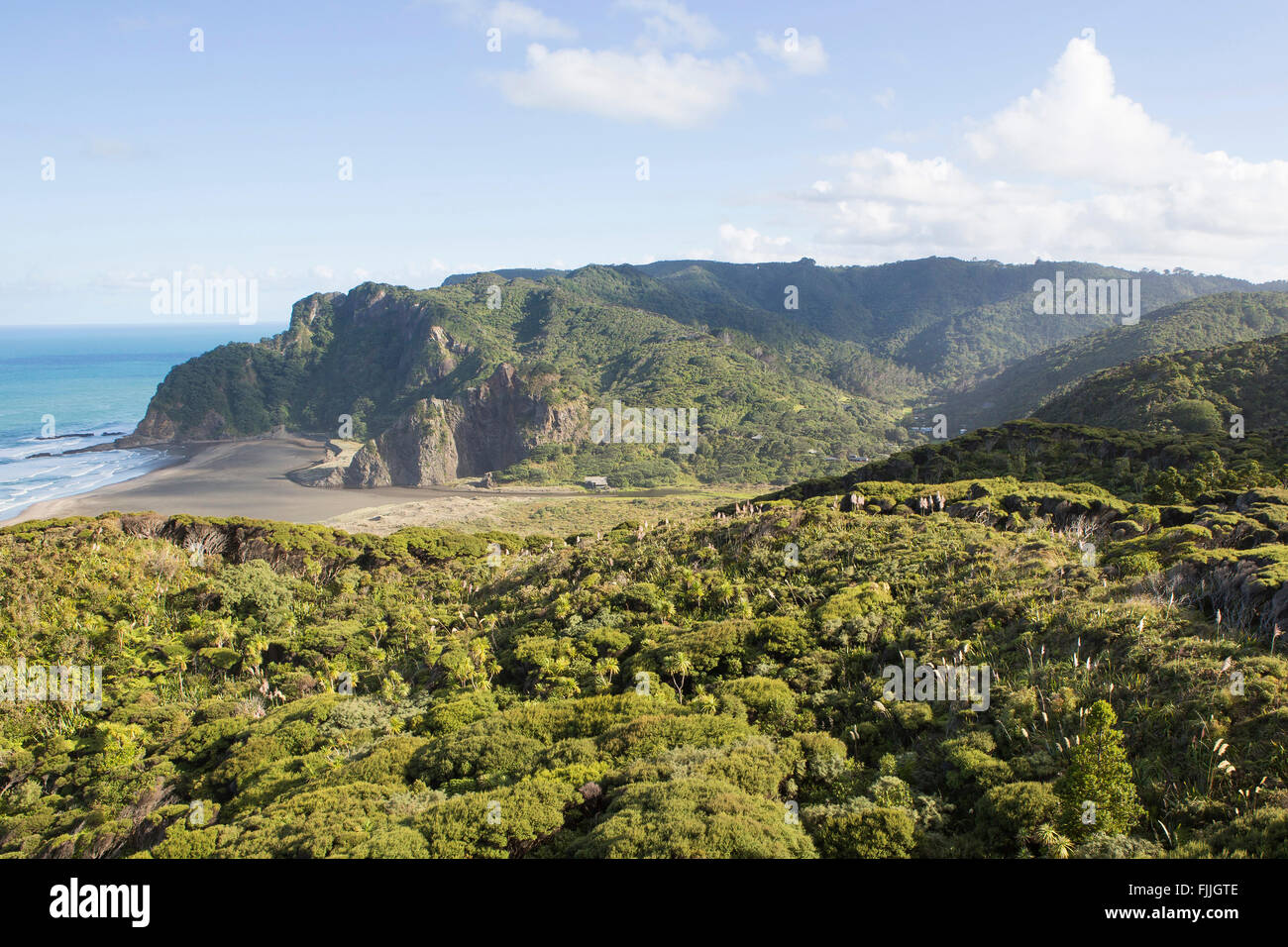 NZ Auckland walk in Waitakere ranges hills over karekare beach near ...