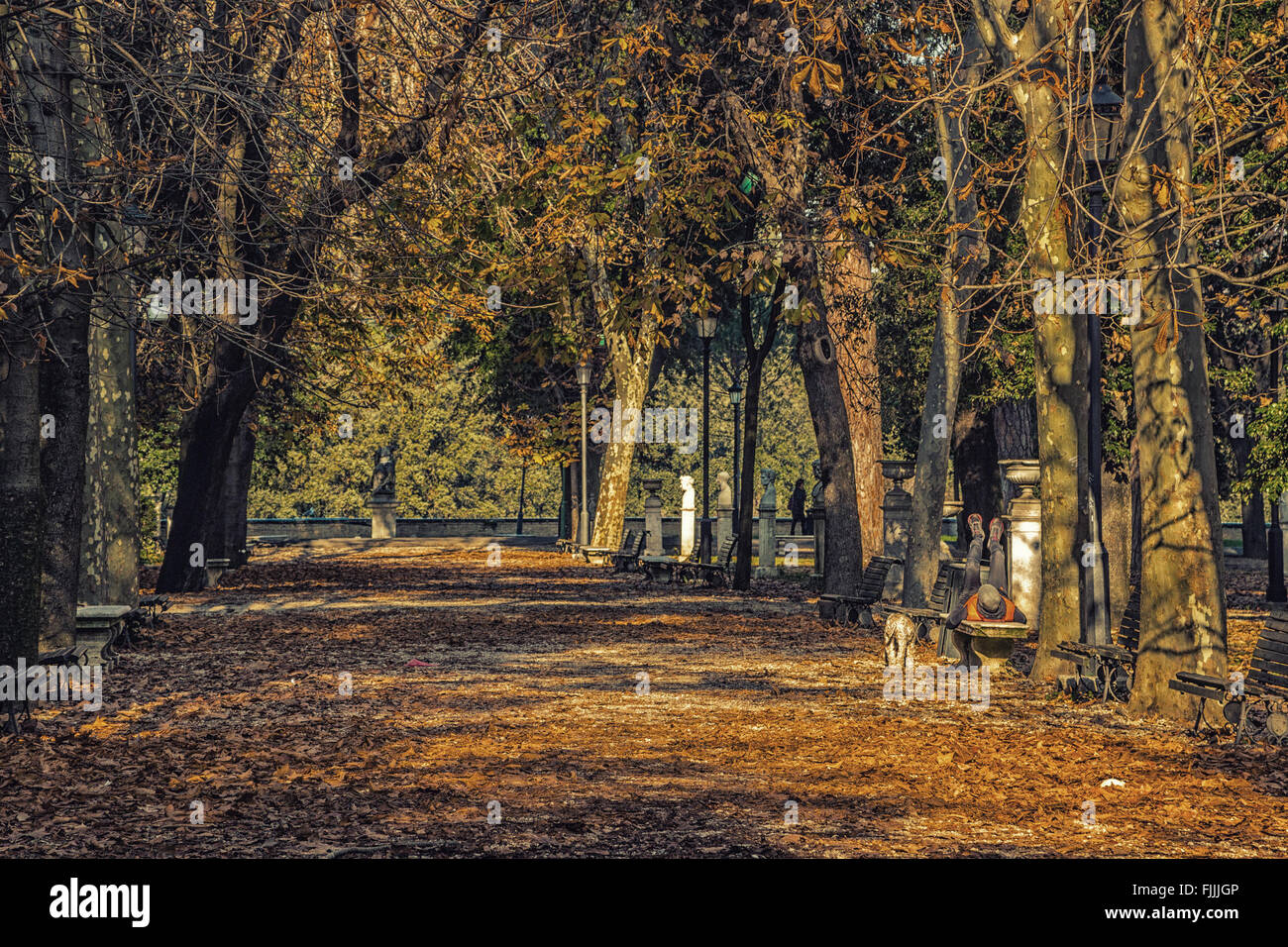 rough path in the city park in Rome Stock Photo - Alamy