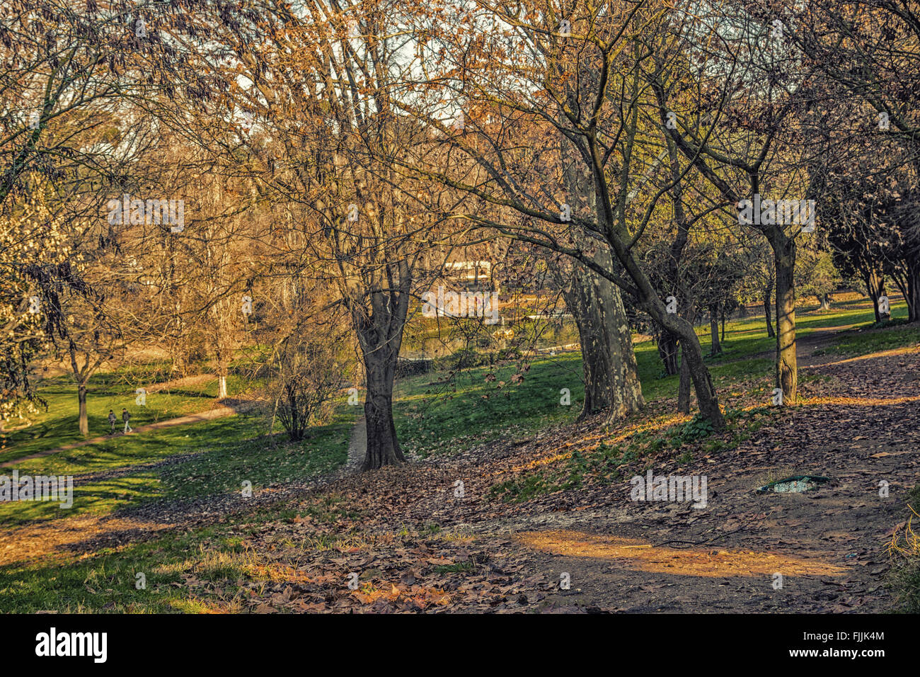 rough path in the city park in Rome Stock Photo - Alamy