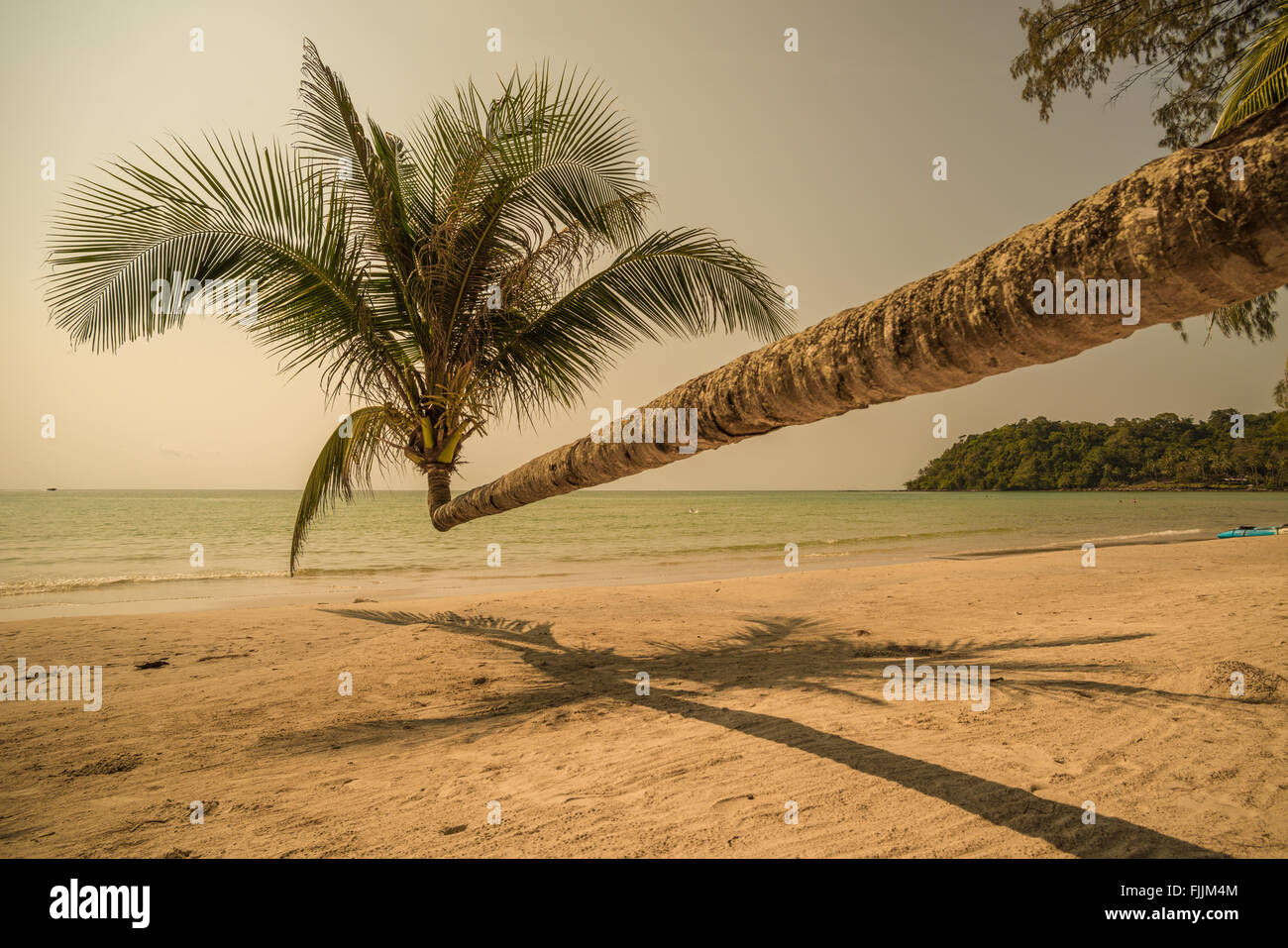 Coco retro hi-res stock photography and images - Alamy