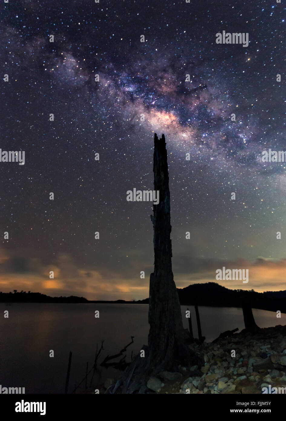 The milky way and the dead tree Stock Photo - Alamy