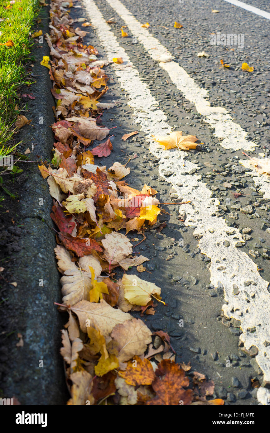 Lines of leaves hi-res stock photography and images - Alamy