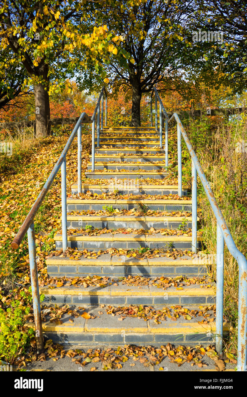 Stairs covered leaves hi-res stock photography and images - Alamy