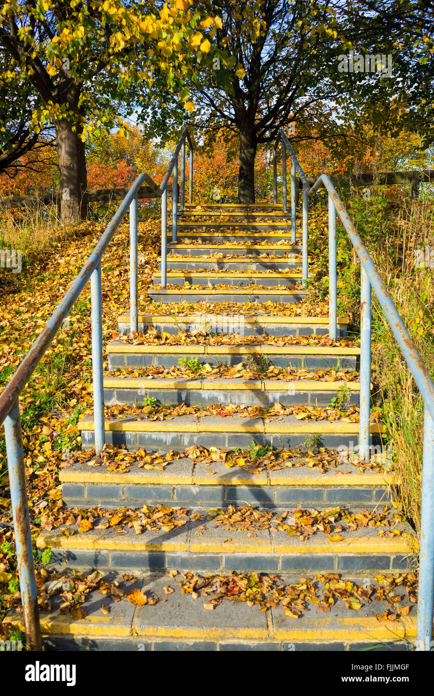 Concrete stairs covered in autumn leaves Stock Photo - Alamy