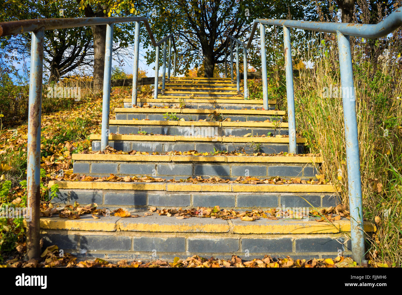 Concrete stairs covered in autumn leaves Stock Photo - Alamy