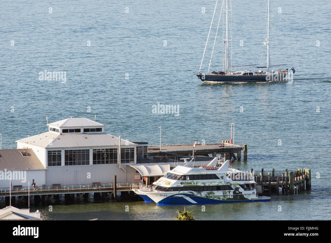 NZ AUCKLAND city ferry,ferrys and bay harbor on sunny day beautiful ...