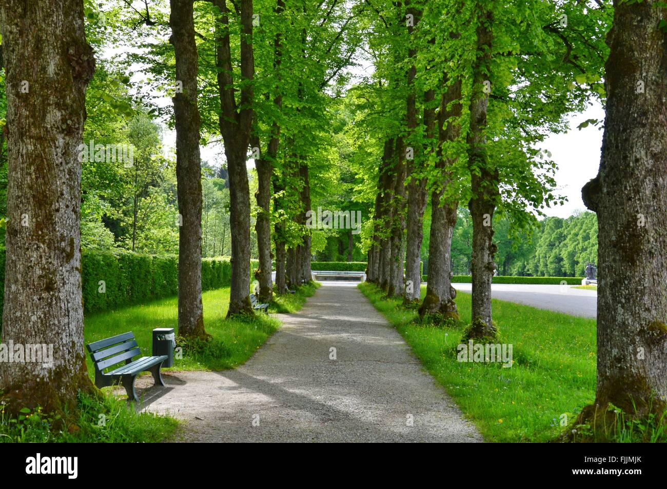 nice trees view Stock Photo - Alamy