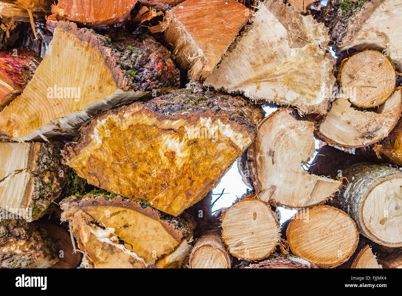 stack of cut logs covered with snow Stock Photo - Alamy