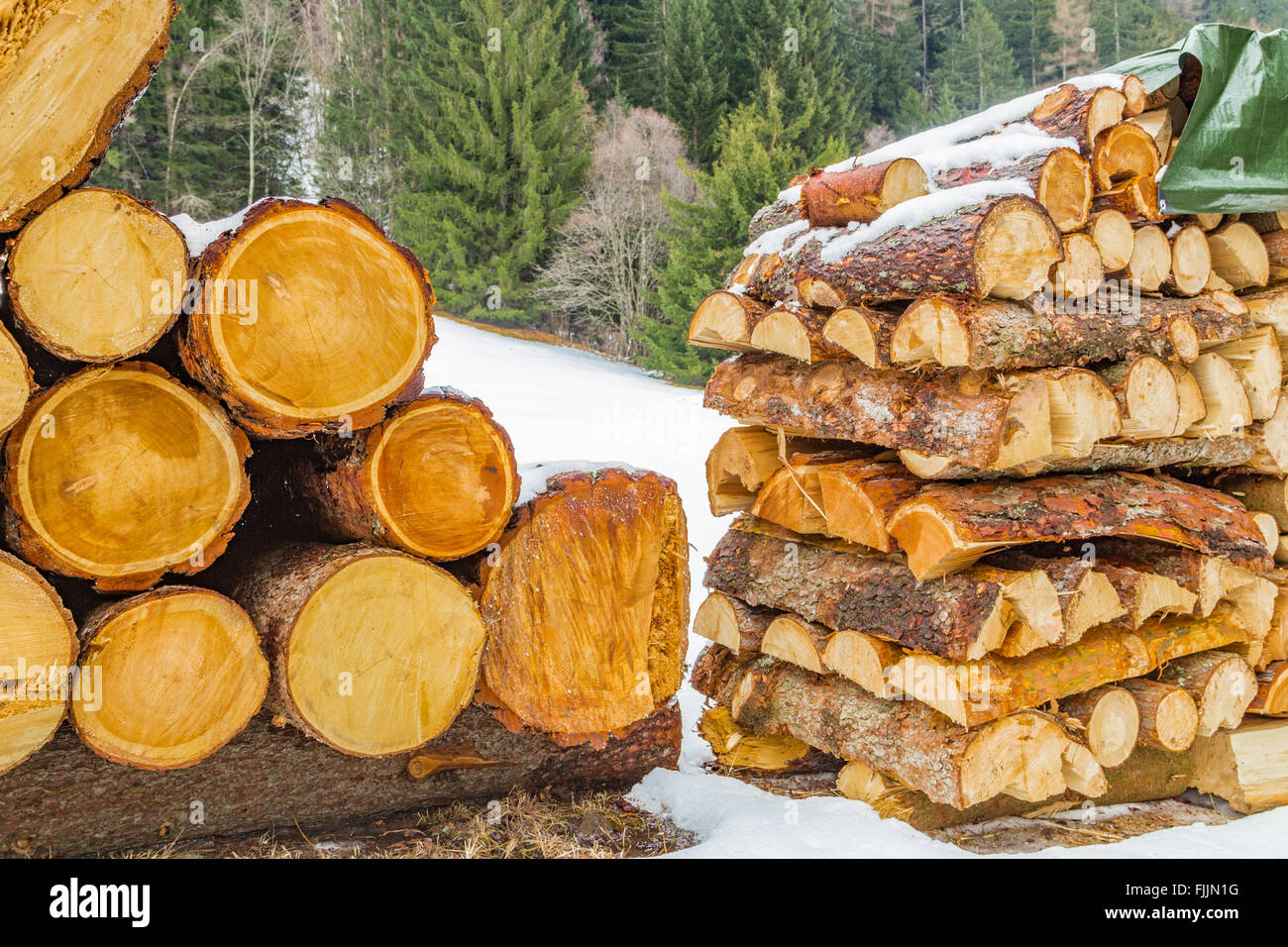 stack of timber in the snow Stock Photo - Alamy