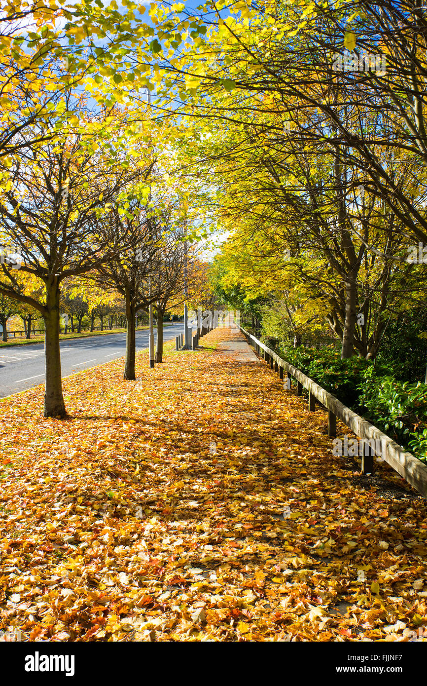 Roadside path pathway hi-res stock photography and images - Alamy