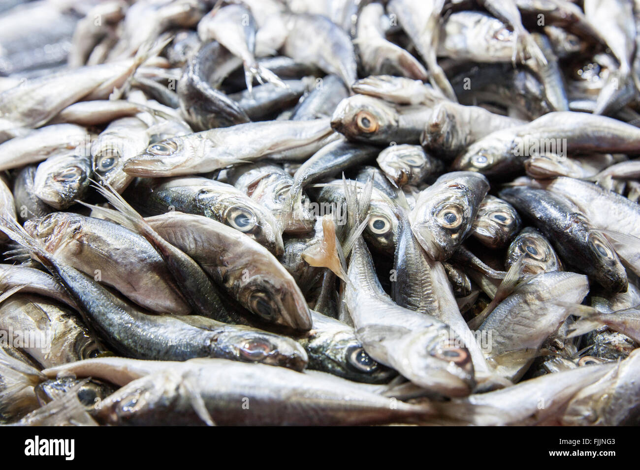 Fresh fish is piled for sale at the fish market in Fethiye, Turkey ...