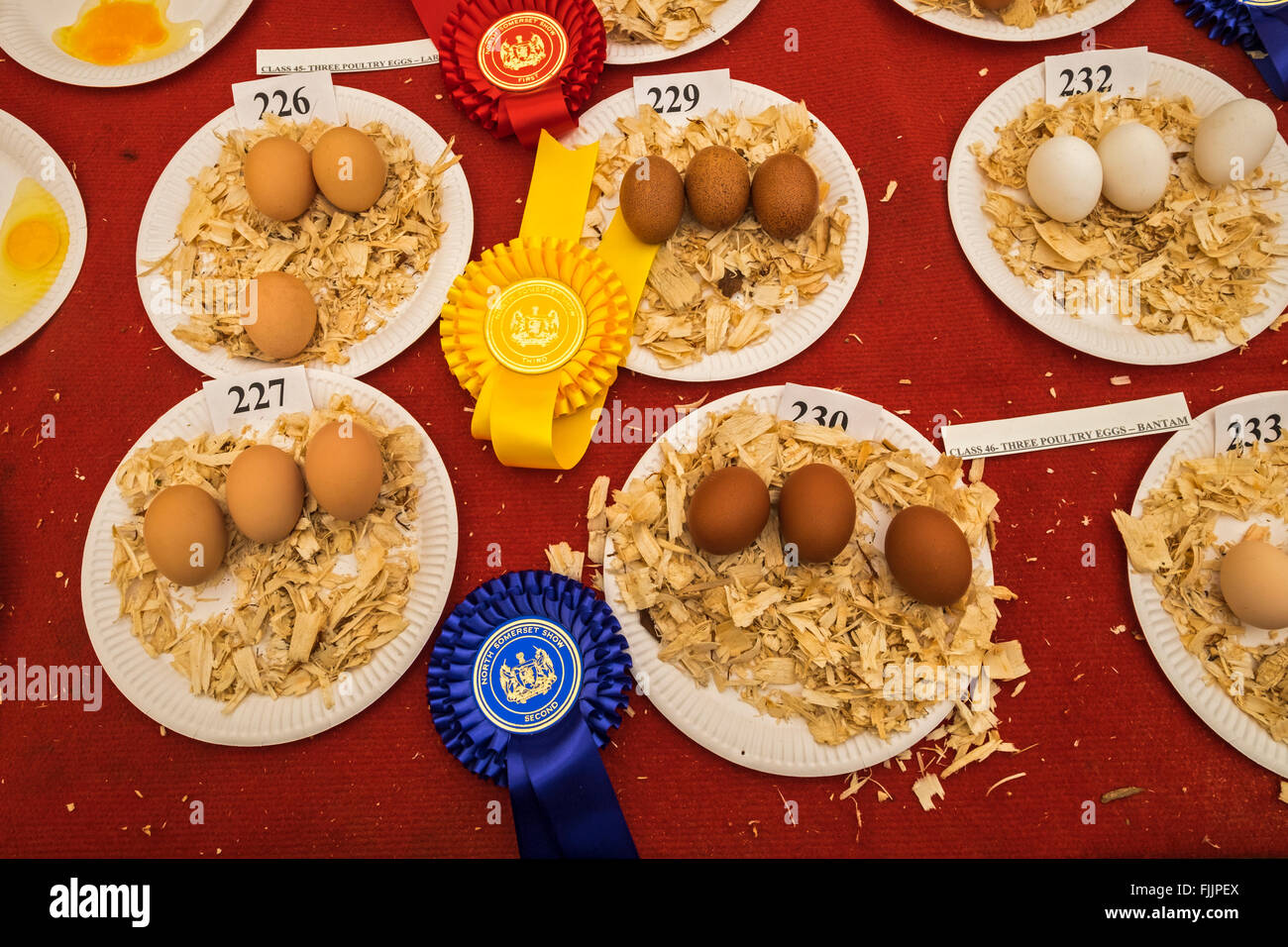 Prize winning eggs at the North Somerset Agricultural Show Stock Photo ...
