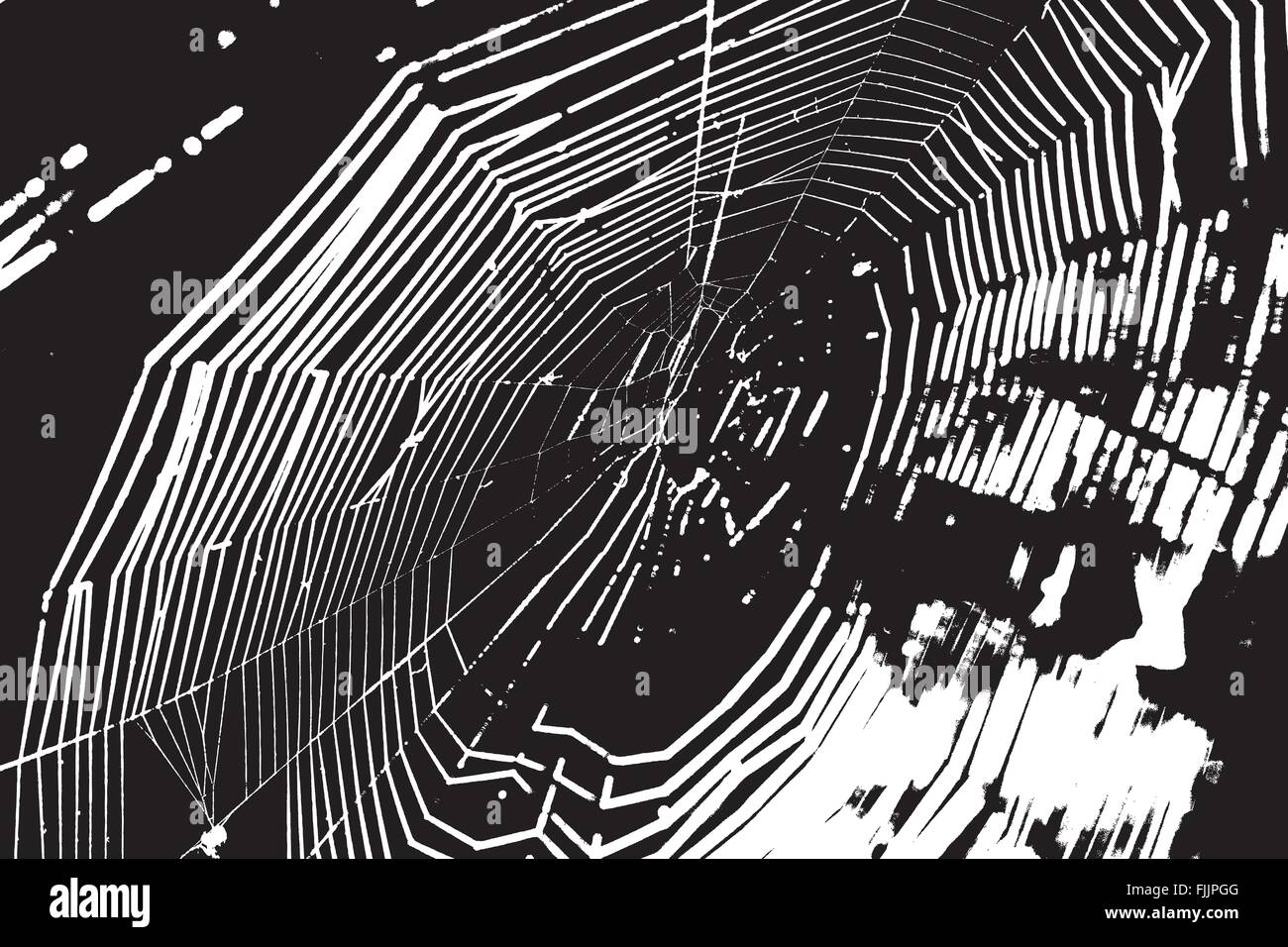 Spider Web Overlay Stock Vector Image & Art - Alamy
