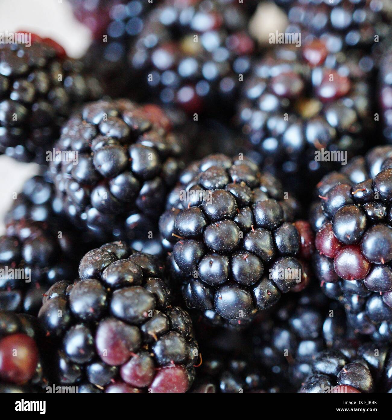 Fresh blackberries in bulk Stock Photo - Alamy