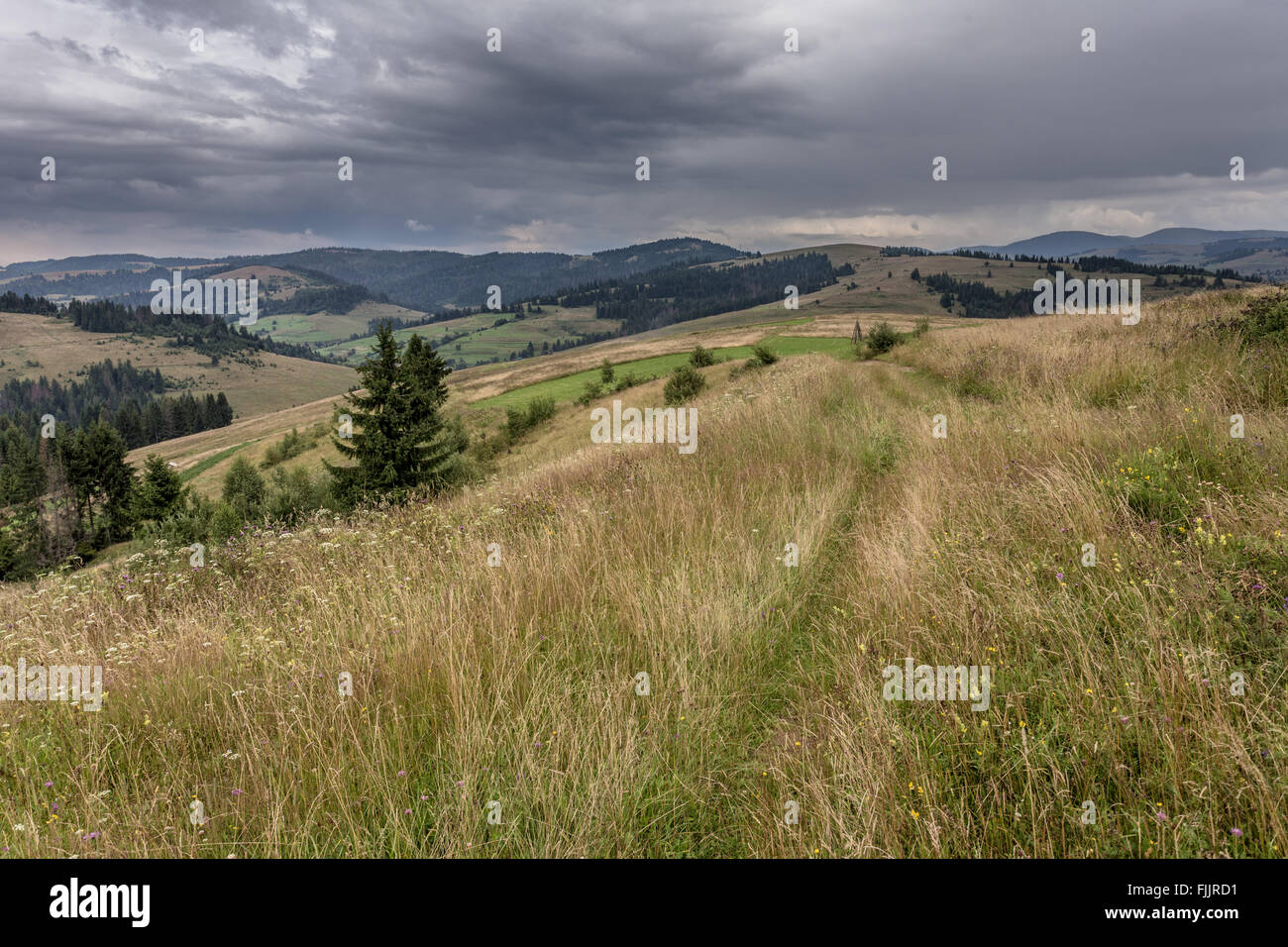 The Reap on green glade on mountain background Stock Photo - Alamy
