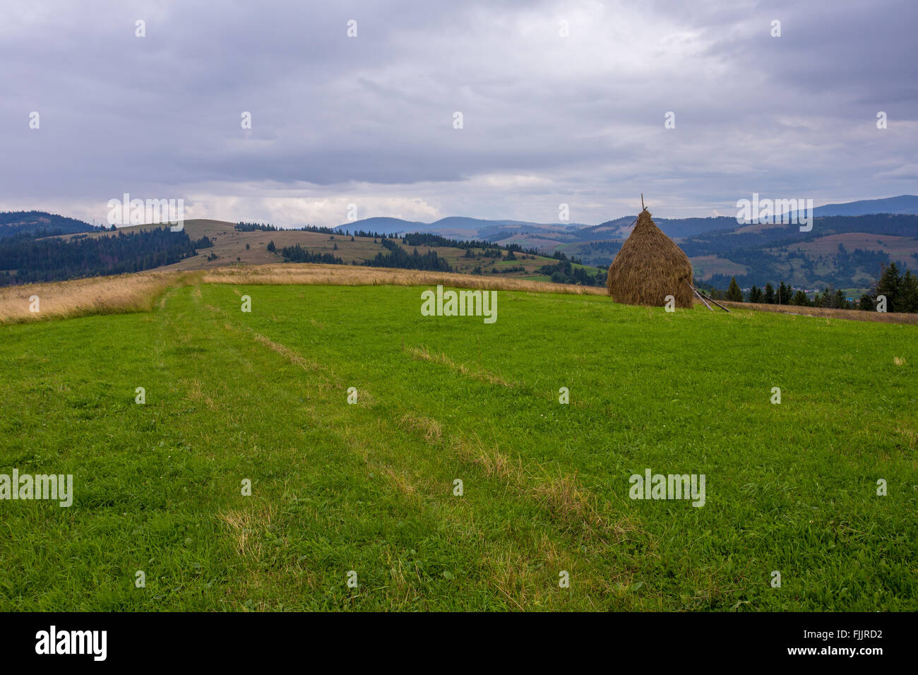 The Reap on green glade on mountain background Stock Photo - Alamy