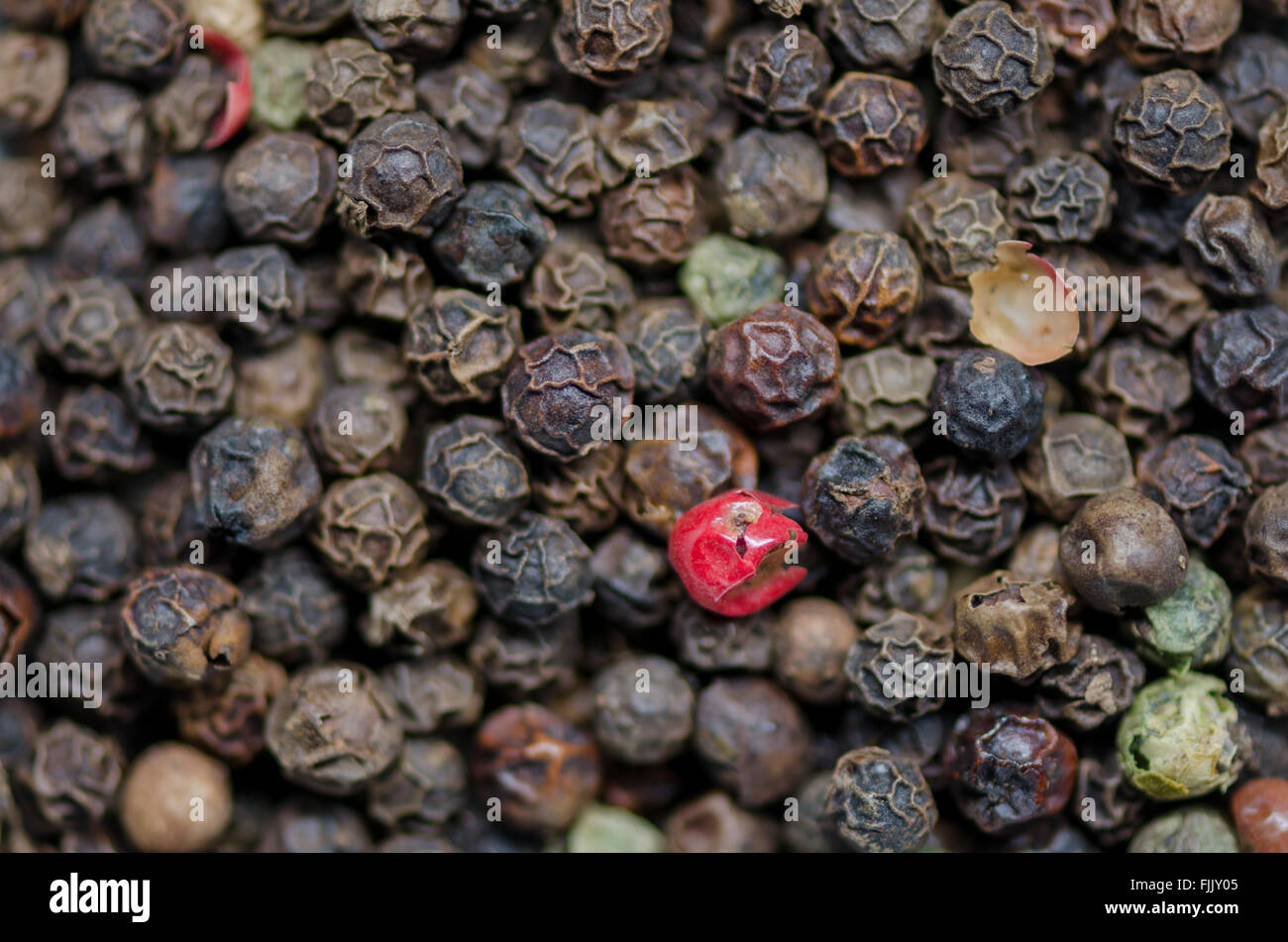 Red peppercorn hi-res stock photography and images - Alamy