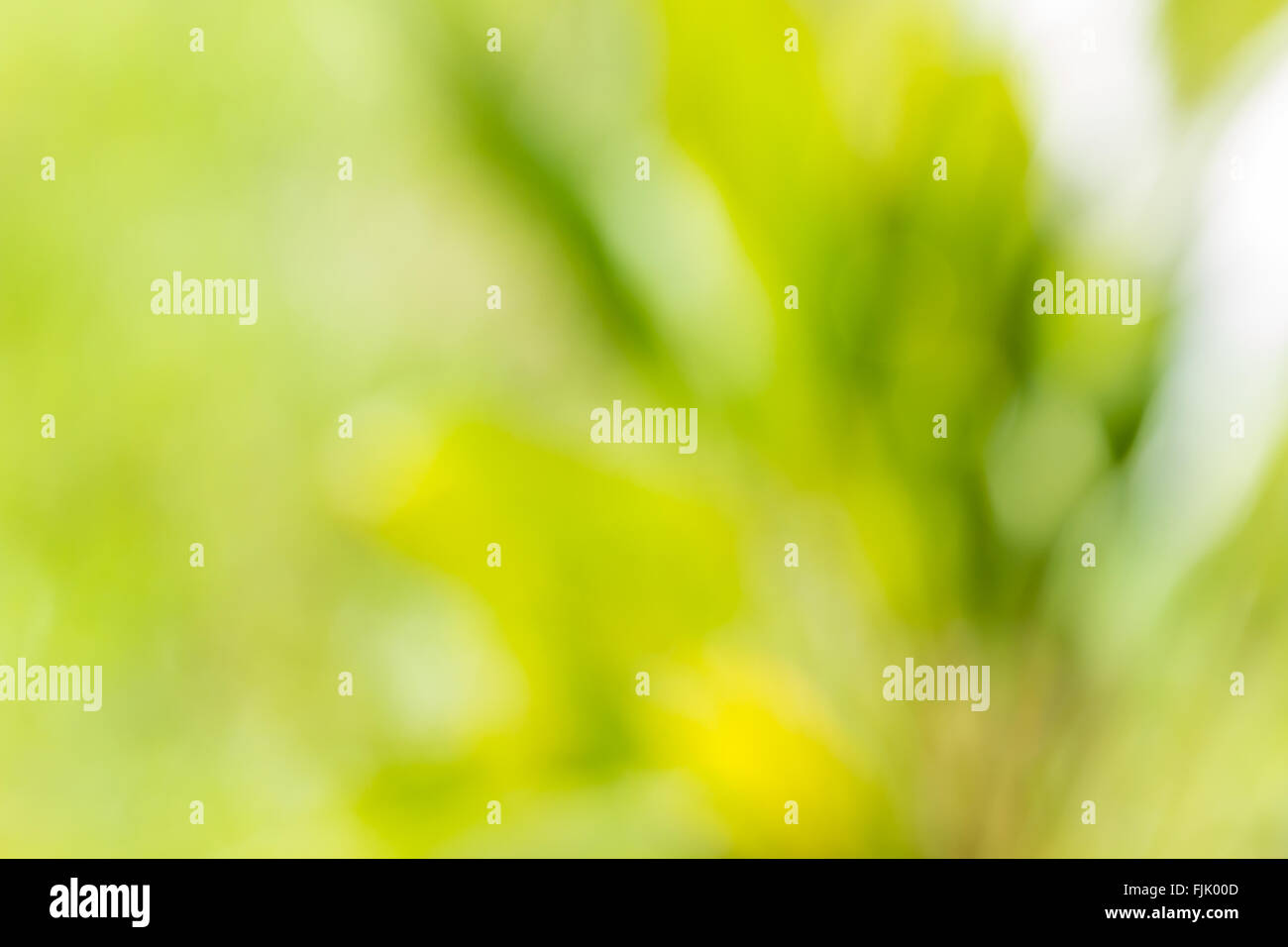 A photo of beautiful green color abstract background Stock Photo - Alamy