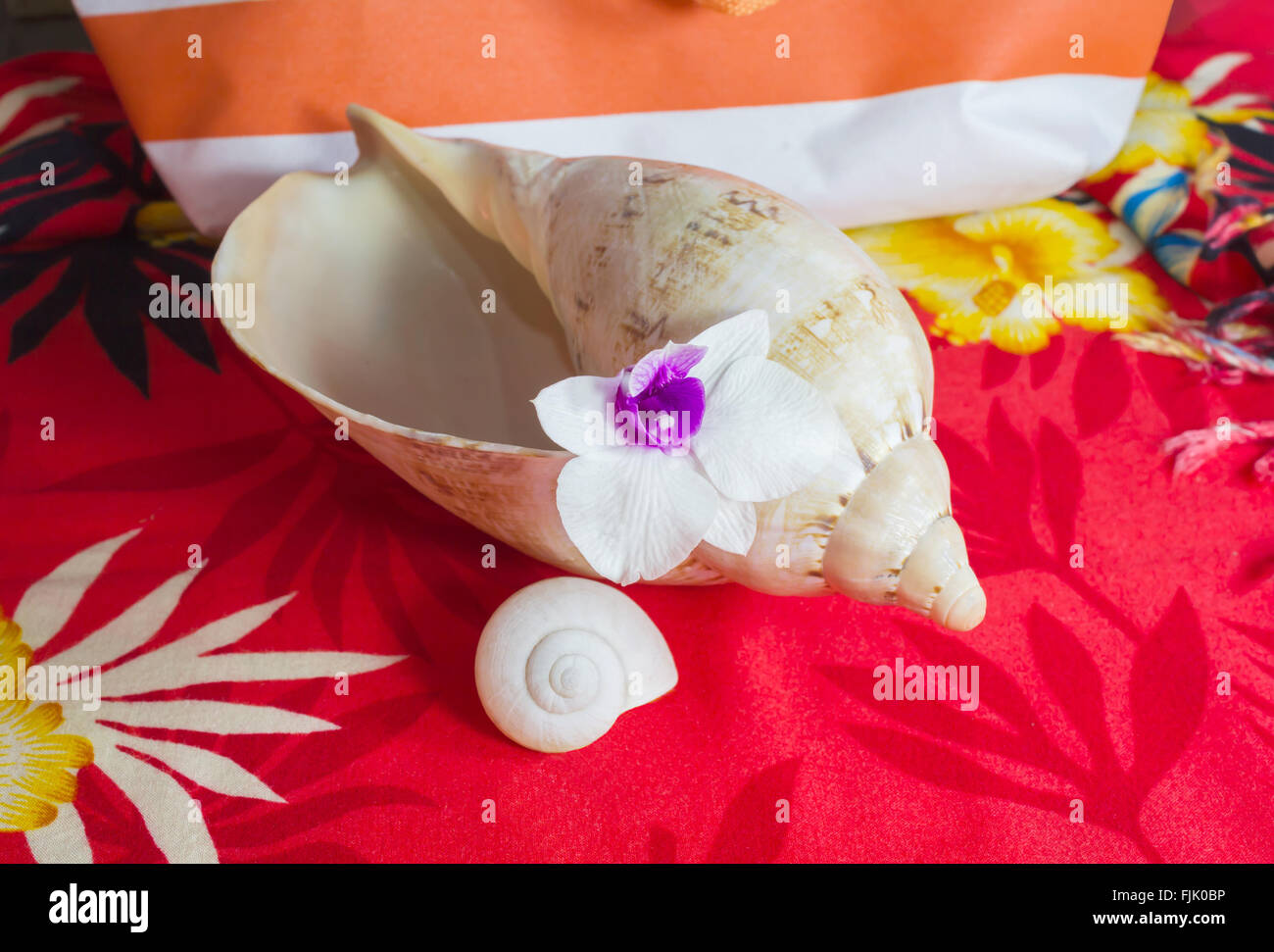 Violet white orchid flower on sea conch shell with summer beach mood ...