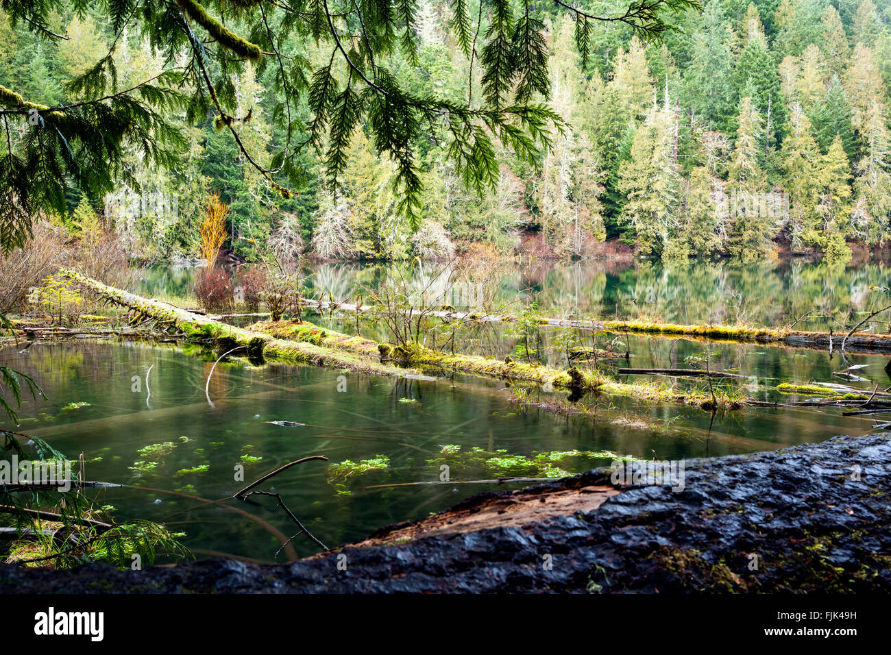 Cameron lake provincial park hi-res stock photography and images - Alamy