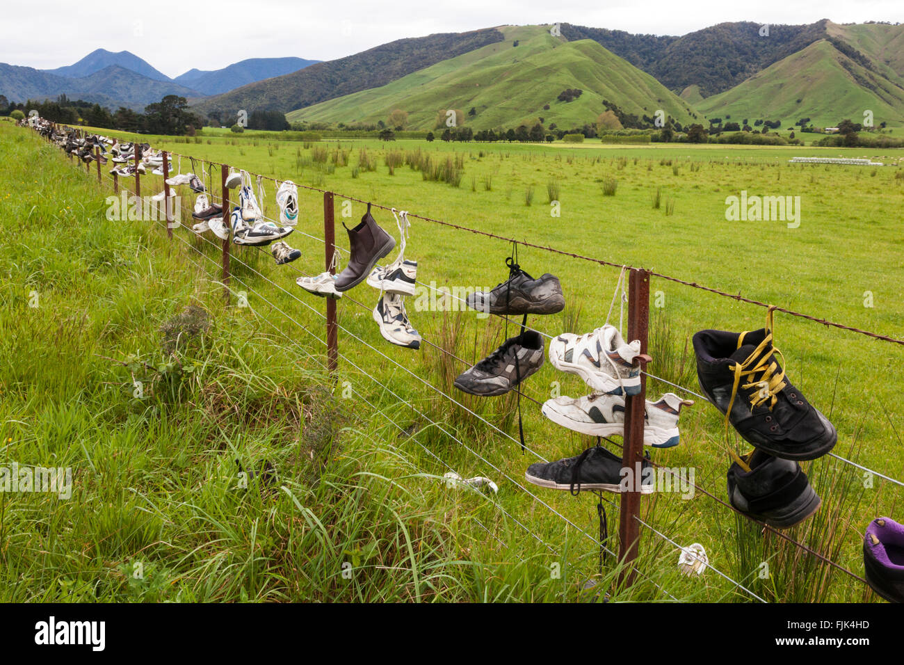 The Havelock shoe fence. Hundreds of discarded old sneakers and shoes ...