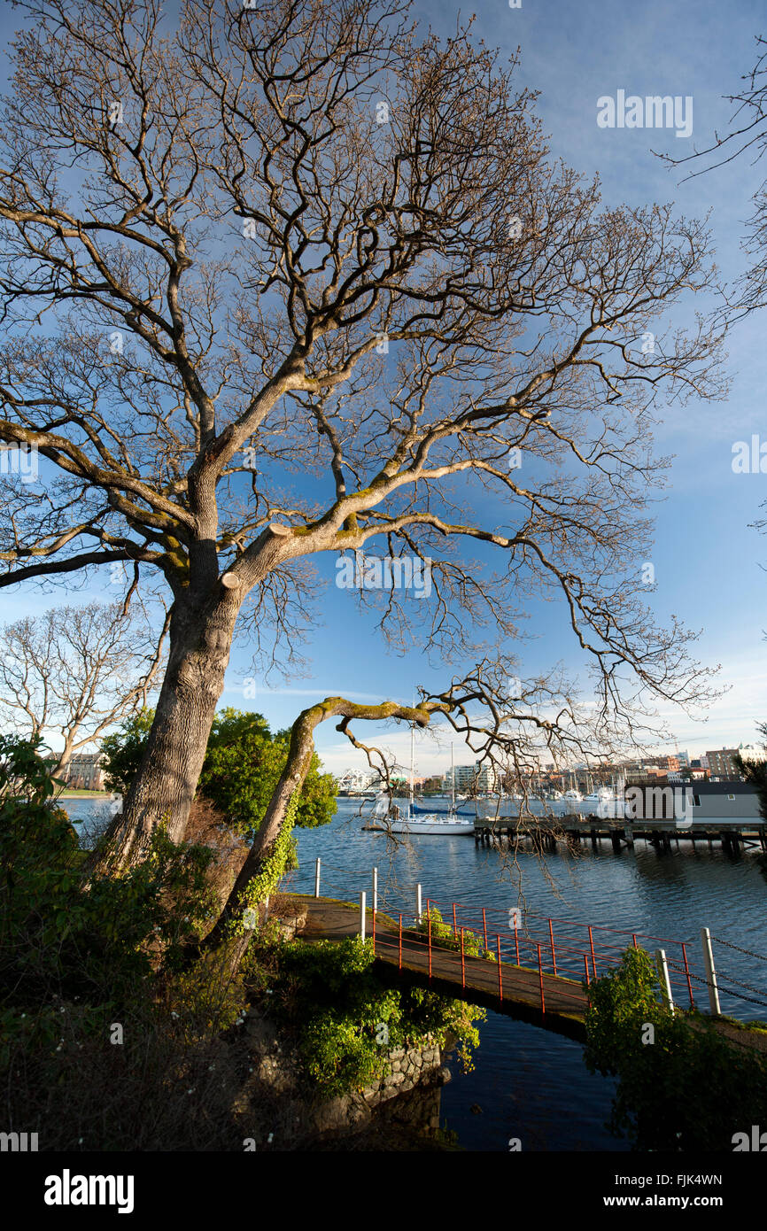 David Foster Harbour Pathway - Victoria, Vancouver Island, British ...