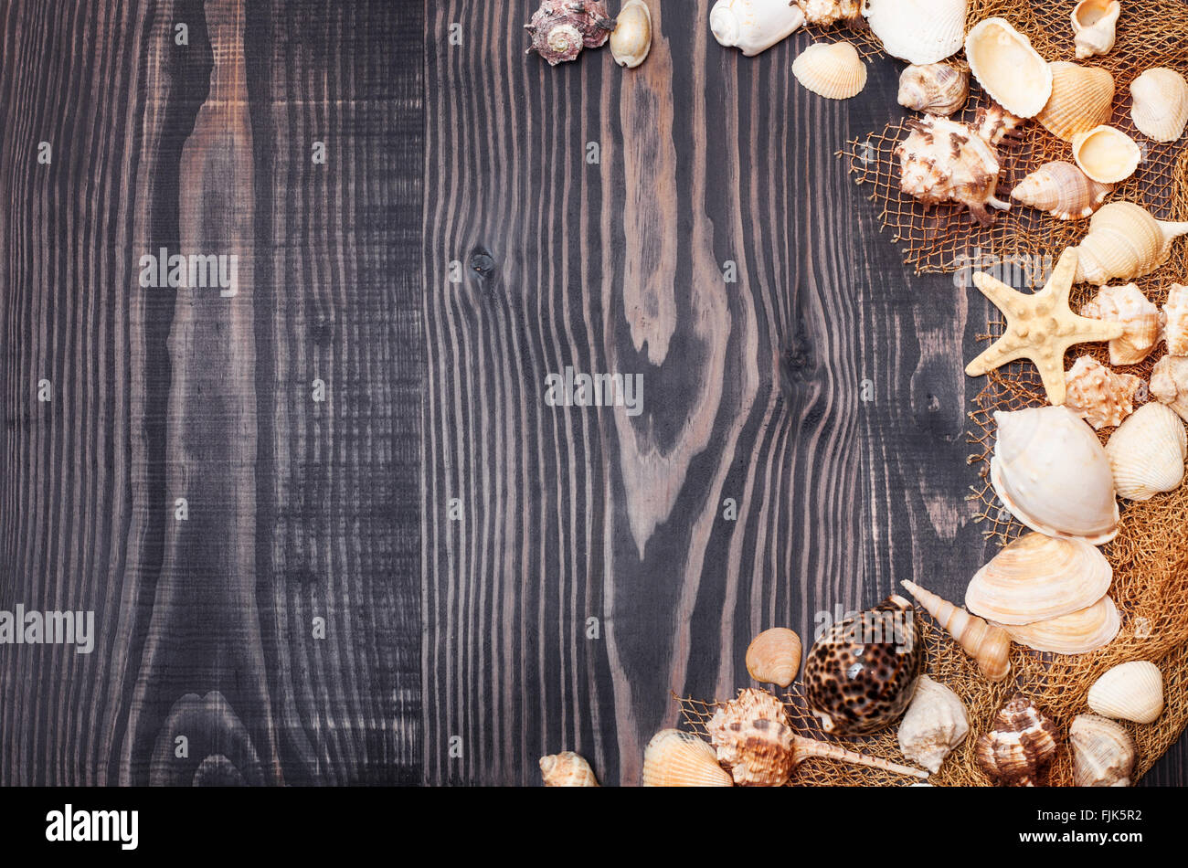 Sea shells on a dark old plank background Stock Photo - Alamy