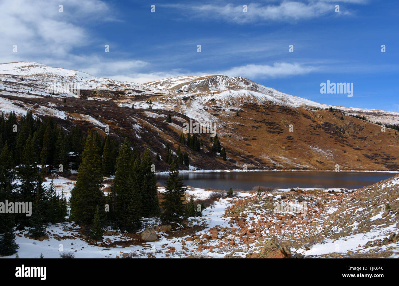 Woodland snow scene bright sunny hi-res stock photography and images ...