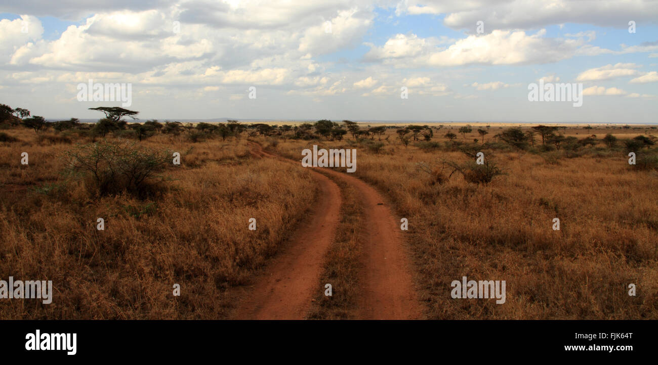 A dirt road path cuts through the Serengeti, Tanzania Stock Photo - Alamy