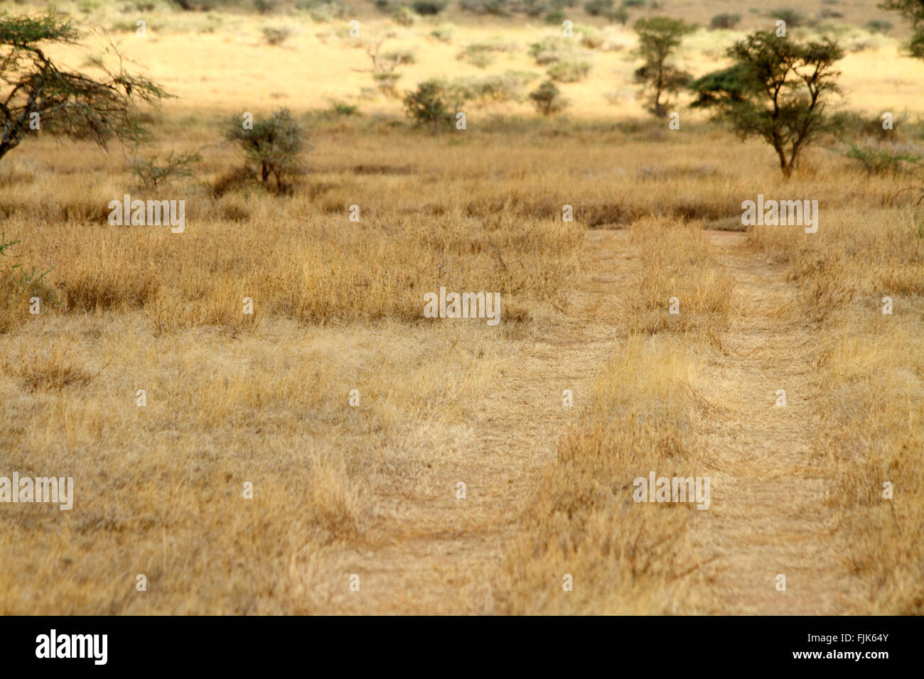Grass track hi-res stock photography and images - Alamy
