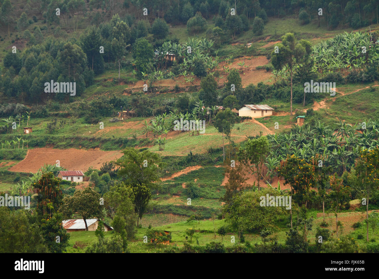 Community farms hi-res stock photography and images - Alamy