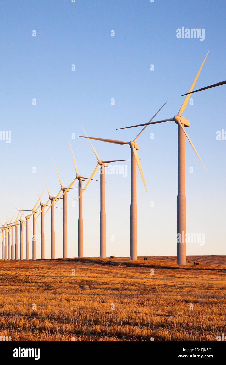 Wind turbines generate sustainable renewable green energy power ...