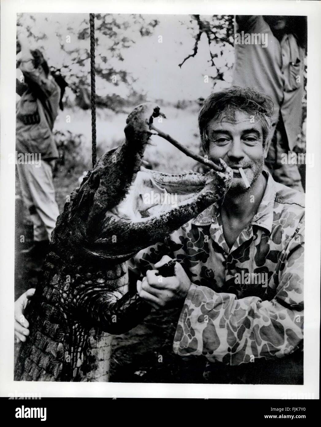 Puma hunting deer hi-res stock photography and images - Alamy