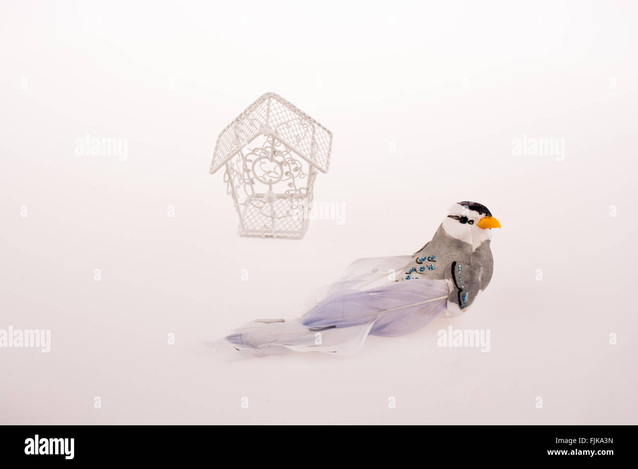 Bird near a red birdcage Stock Photo - Alamy