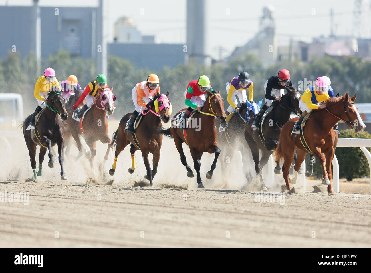 Kawasaki racecourse hi-res stock photography and images - Alamy