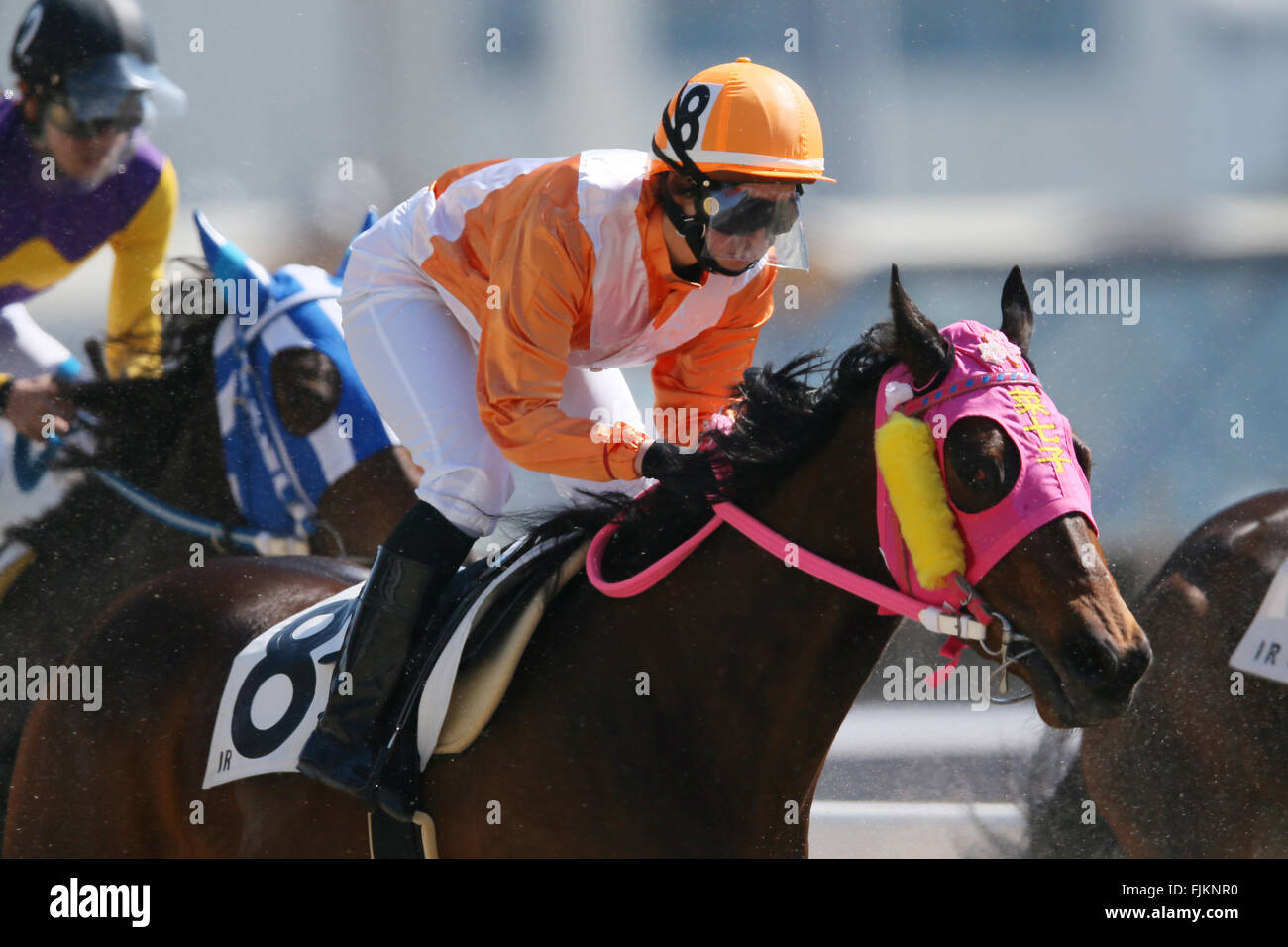 Kawasaki Race course, Kanagawa, Japan. 3rd Mar, 2016. Nanako Fujita ...