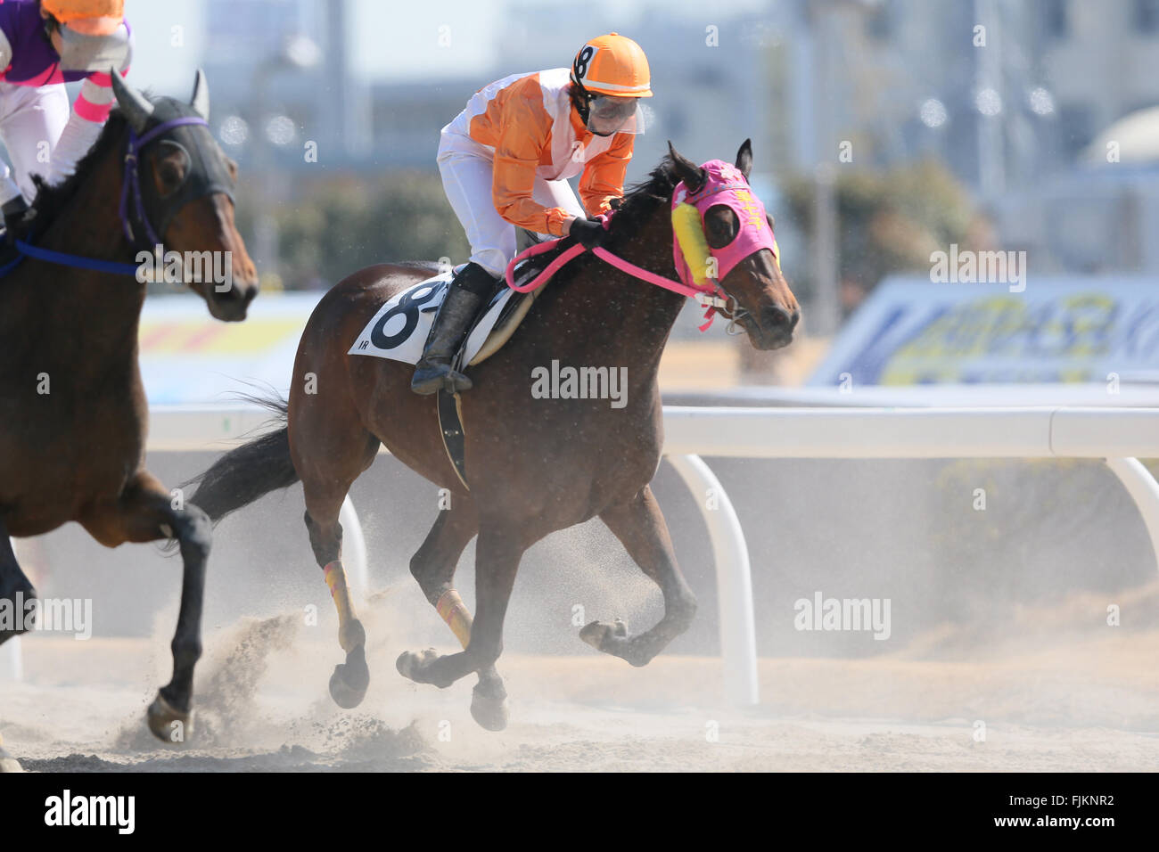 Kawasaki Race course, Kanagawa, Japan. 3rd Mar, 2016. Nanako Fujita ...